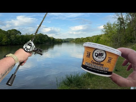 BFS fishing with live bait from the bank