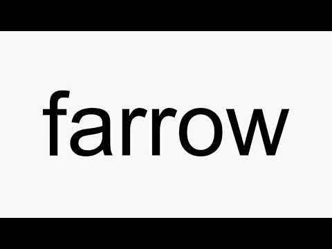 How to pronounce farrow