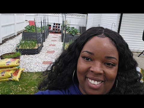 Garden Chat: When should I harvest my vegetables??