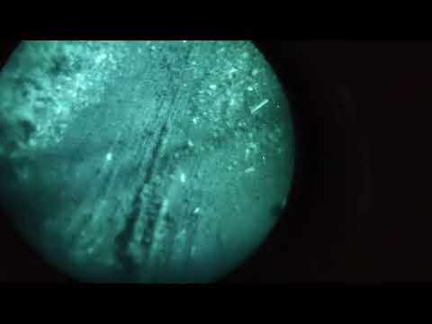 gen2+ night vision with Jerry C5 thermal clip on