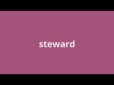 what is the meaning of steward.