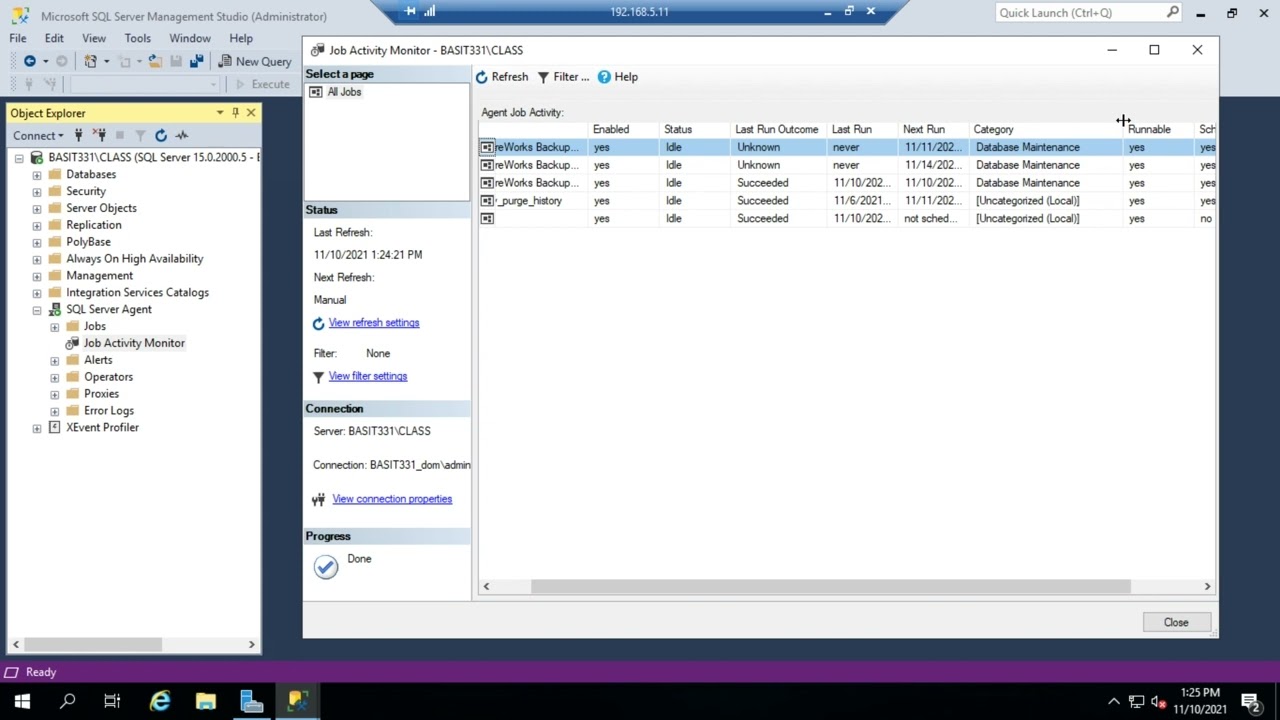 Using the SQL Server Job Activity Monitor