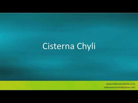 Pronunciation of the word(s) "Cisterna Chyli".