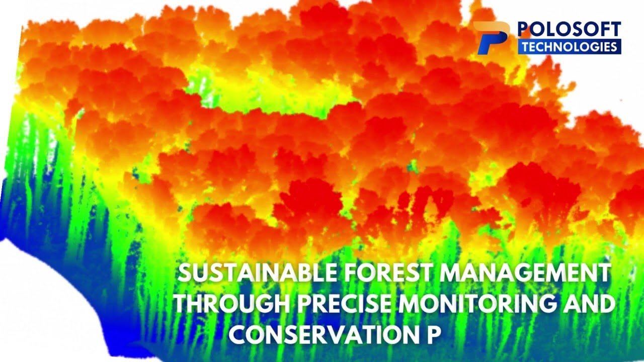 Image Overlay and Colorizing Forest Insights with LiDAR | LiDAR Data | Polosoft Technologies