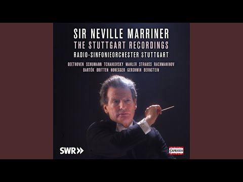 Symphony No. 3 in E-Flat Major, Op. 97 "Rhenish": I. Lebhaft