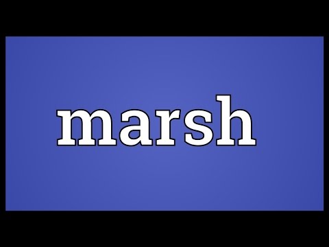 Marsh Meaning