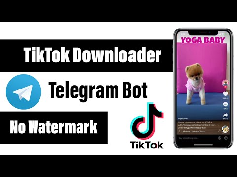 How to download TikTok videos without watermark with a Telegram Bot | by Bemro