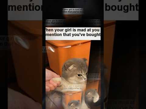 WHEN YOUR GIRL IS MAD #comedy memes #funny images#viral video