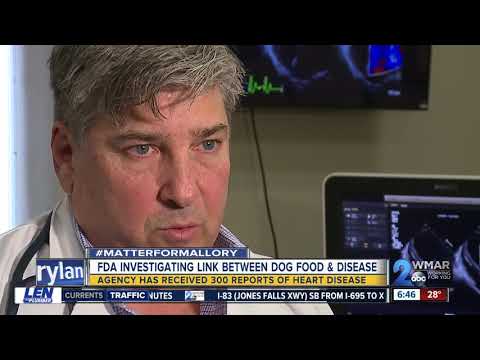 Dog diagnosed with heart disease after being fed grain-free diet