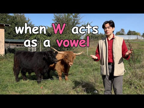 Is W a Vowel? Or a Consonant? Or Both? An Answer that Will Make You Say "Wow!" (Or at Least "Cow.")