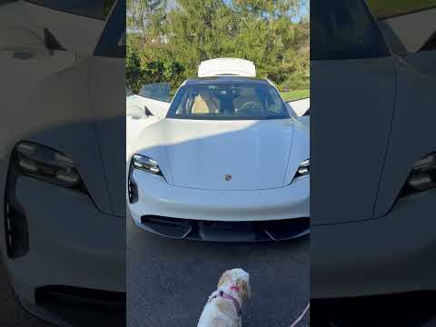 PCARMARKET Auction: 19k-Mile 2022 Porsche Taycan Turbo S