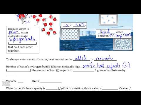 Thermal Chemistry I, Video I - Specific Heat Capacity of Water