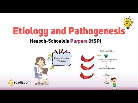 Henoch-Schonlein Purpura (HSP) Case Study | Etiology and Pathogenesis