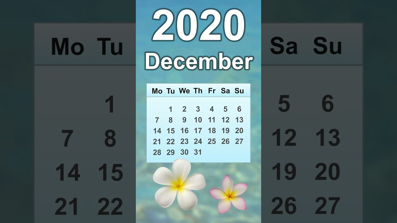 December 2020 Calendar
