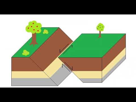 Faulting