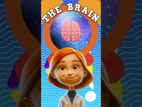 Science Sally Brain Connections 🧠 Fast Facts with Science Sally