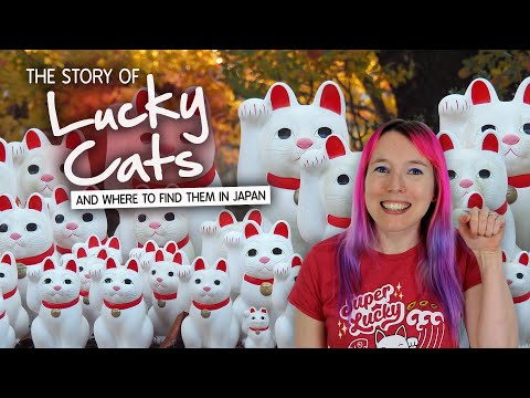All about LUCKY CATS ???????????? Japanese Maneki Neko