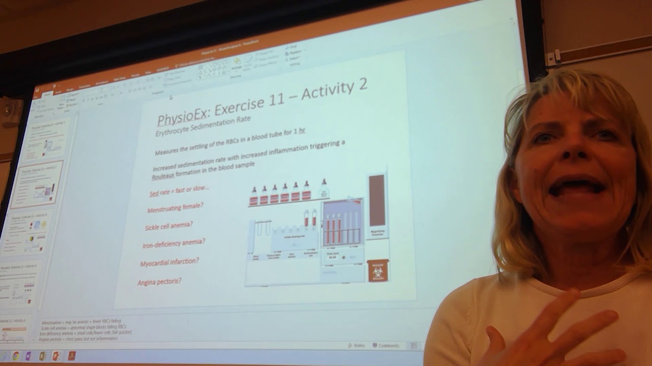 PhysioEx- exercise 11 blood