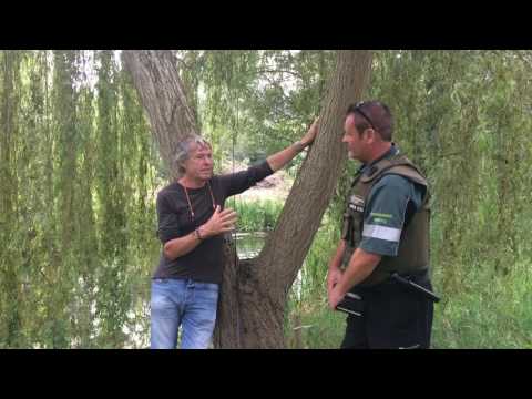 Renowned angler John Bailey on why he buys a rod licence