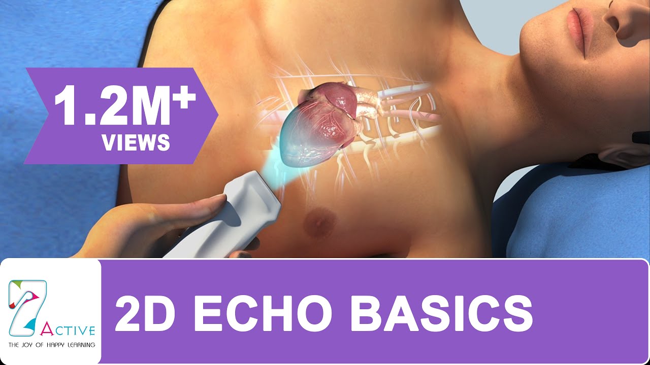 2D ECHO PROCEDURE
