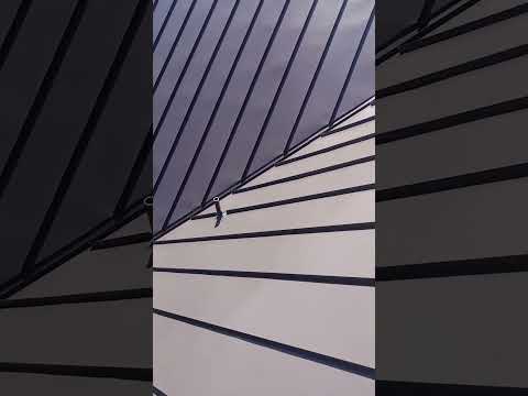 Metal Roofing Project Showcase: Sleek Design and Expert Craftsmanship#metalroofing