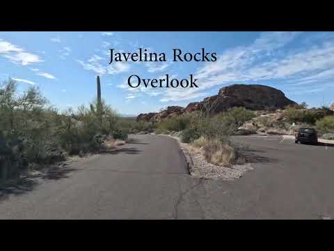 Best Place in AZ to Run, Jog, Hike - Ep. 02 Saguaro National Park Pt 2 - 4 miles - Cherokee Lesson 1