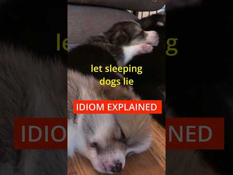 Let sleeping dogs lie #idiom EXPLAINED