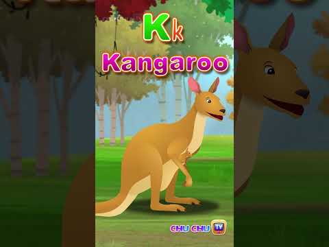 ABC Animals Song - #Shorts #ChuChuTV #NurseryRhymes #KidsSongs #animalsongs