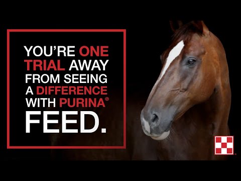 Horse Feed Trial – Take the Next Step
