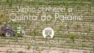 Galeria - Quinta do PalameQuinta do Palame