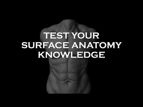 TEST YOUR KNOWLEDGE OF SURFACE ANATOMY