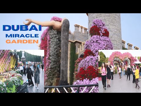 Dubai | Dubai's Floral Paradise: Unveiling the Magic of Miracle Garden| DM Munir