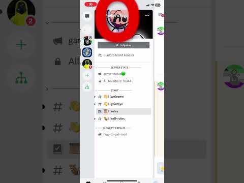 Where is monkeys place discord?
