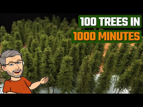 The Ultimate Guide to Building 100 Model Trees in a Weekend