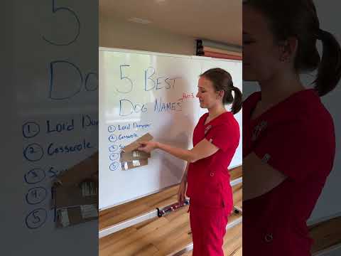 The BEST dog names we’ve ever heard (part 3) #shorts #vetmed #vettech #dogs