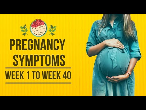 Pregnancy Symptoms Week by Week | What to Expect from Week 1 to 40