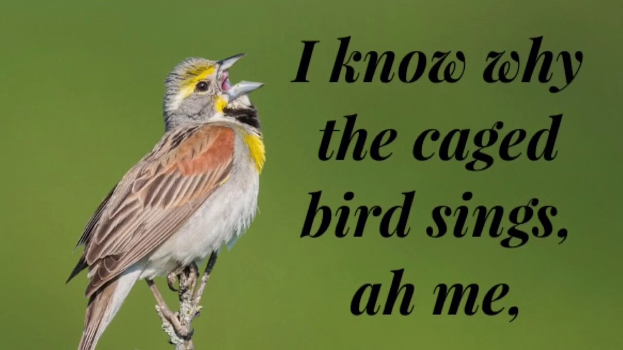 Sympathy Digital Poem