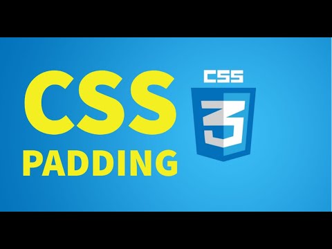 CSS PADDING | CSS padding tutorial | CSS padding vs margin vs border by CodeETeach