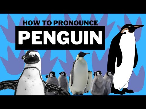 How to pronounce PENGUIN