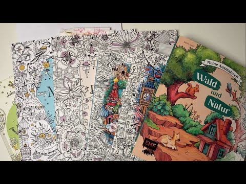 Completed Pages March to June 2025