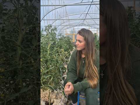 Listen to your plants sing?