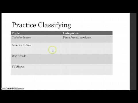 classification essays
