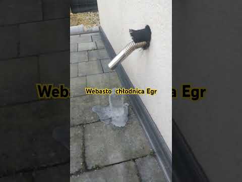 Webasto chińskie poprawnie założona chłodnica Egr