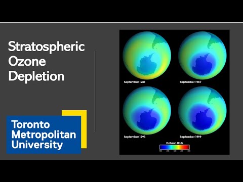 Stratospheric Ozone Depletion: An Environmental Success Story!