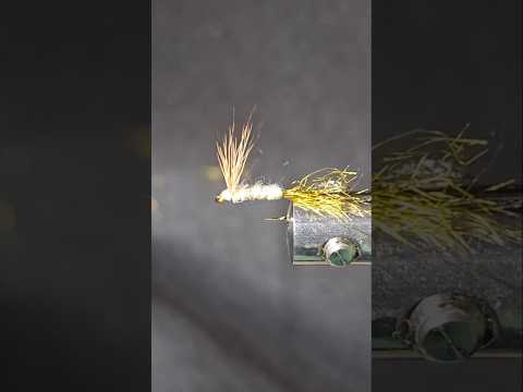 The sparkle dun is one of my favorite dry flies#troutfishing #fish #fishing #flyfishing #flytying