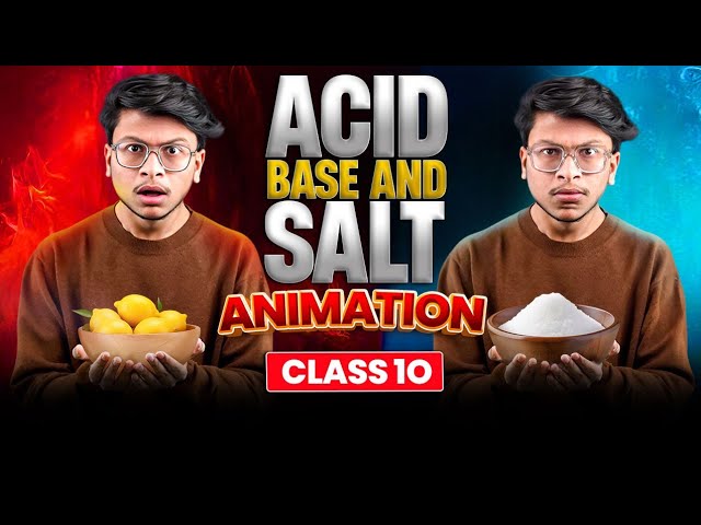 Understanding Acids, Bases, and Salts: A Comprehensive Guide for Class ...