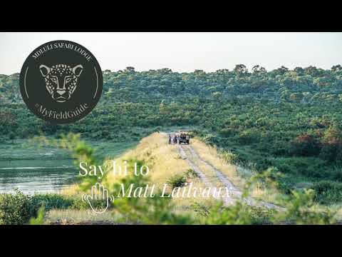 My Field Guide - Matt Lailvaux