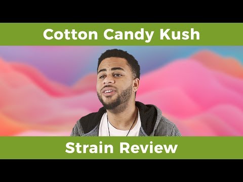 Find Your High: Cotton Candy Kush