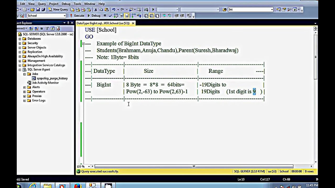 SQL Server Data Type - BigInt (English)