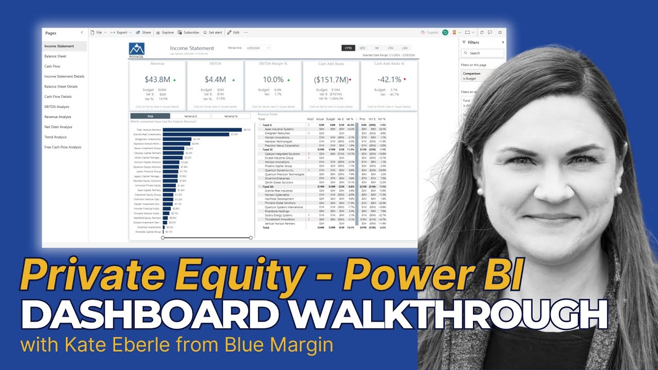 Power BI Dashboard for Private Equity Firms | Portfolio Reporting Made Easy